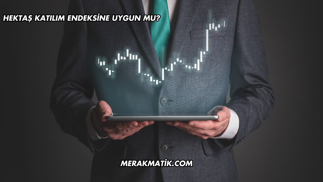Hektaş Katılım Endeksine Uygun mu? - Merakmatik